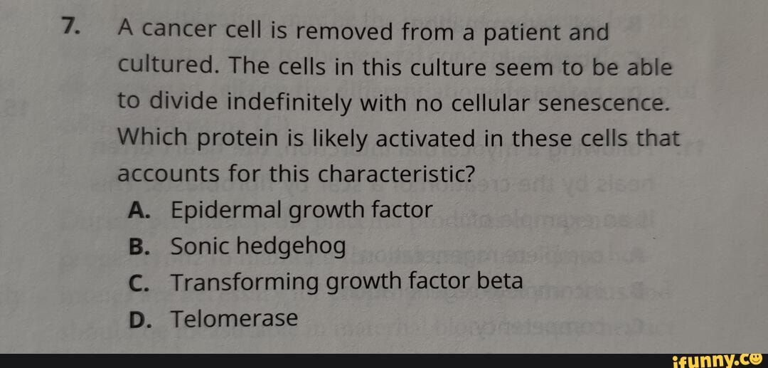 Telomerase memes. Best Collection of funny Telomerase pictures on iFunny