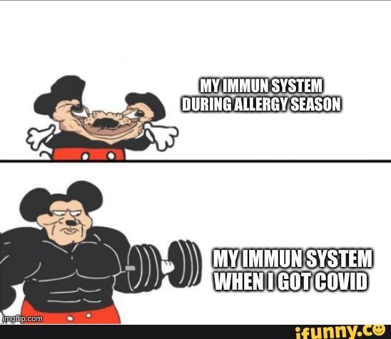 Immun memes. Best Collection of funny Immun pictures on iFunny