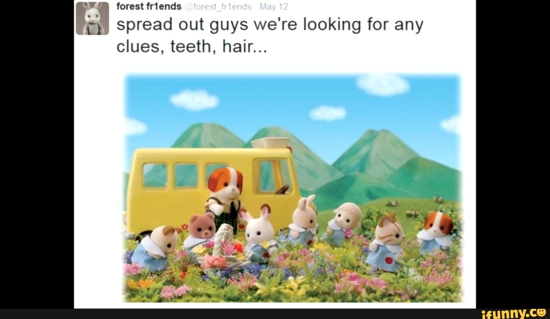 Forest friends Giforest_friends May 12 spread out guys we're looking ...