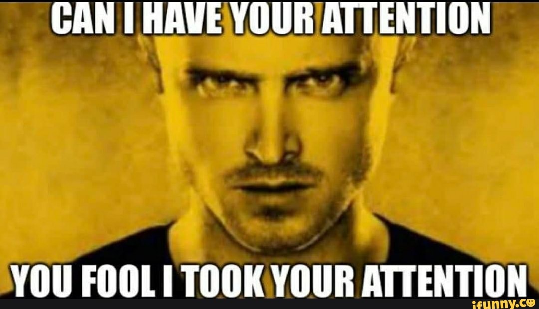 CAN HAVE YOUR ATTENTION YOU FOOL TOOK YOUR ATTENTION - iFunny