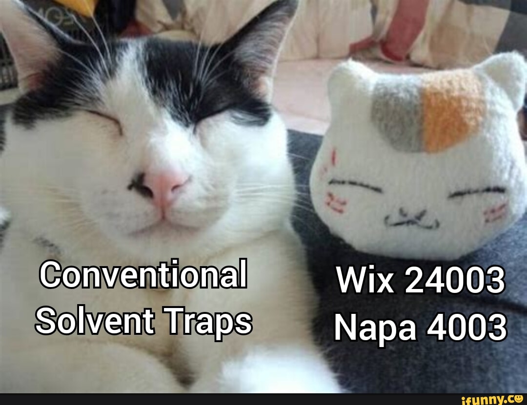 Wix memes. Best Collection of funny Wix pictures on iFunny