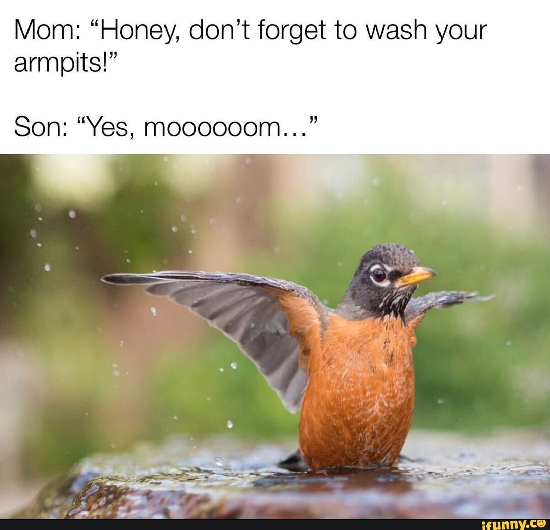 Armpits memes. Best Collection of funny Armpits pictures on iFunny