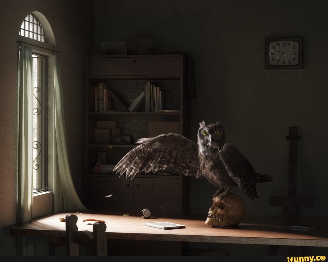 Magic_realism memes. Best Collection of funny Magic_realism pictures on ...