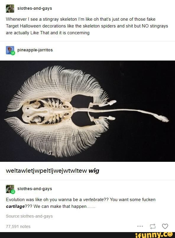 Osteology memes. Best Collection of funny Osteology pictures on iFunny