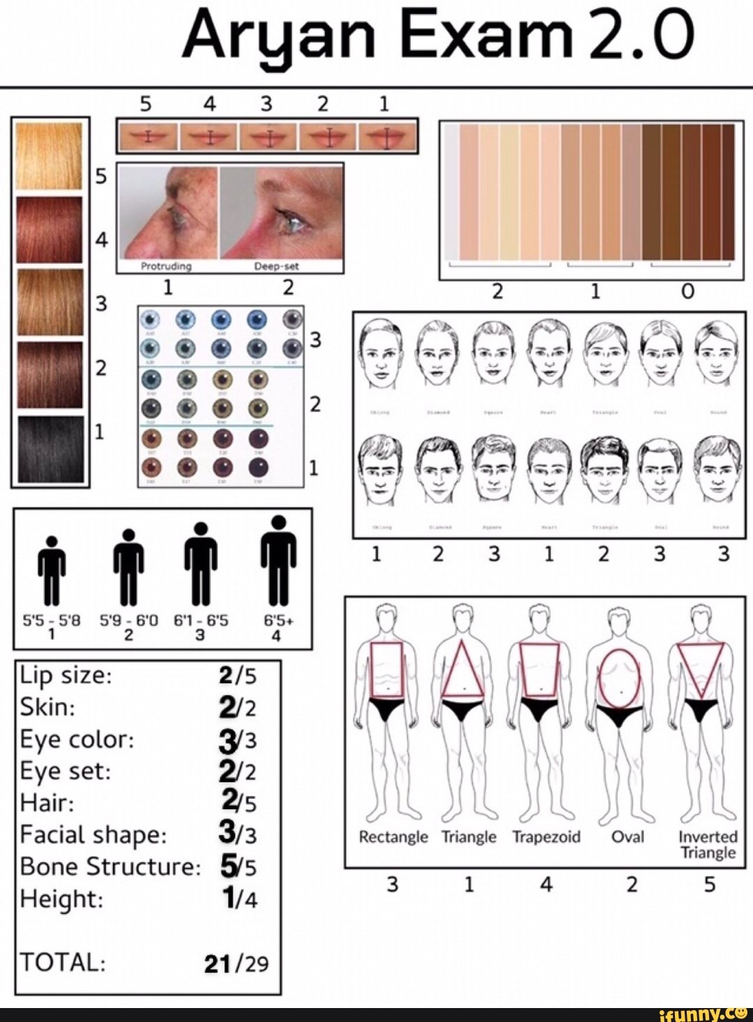 Aryan Exam 2.0 shape: Rectangle Triangle "Qual Inverted Triangle Bone ...
