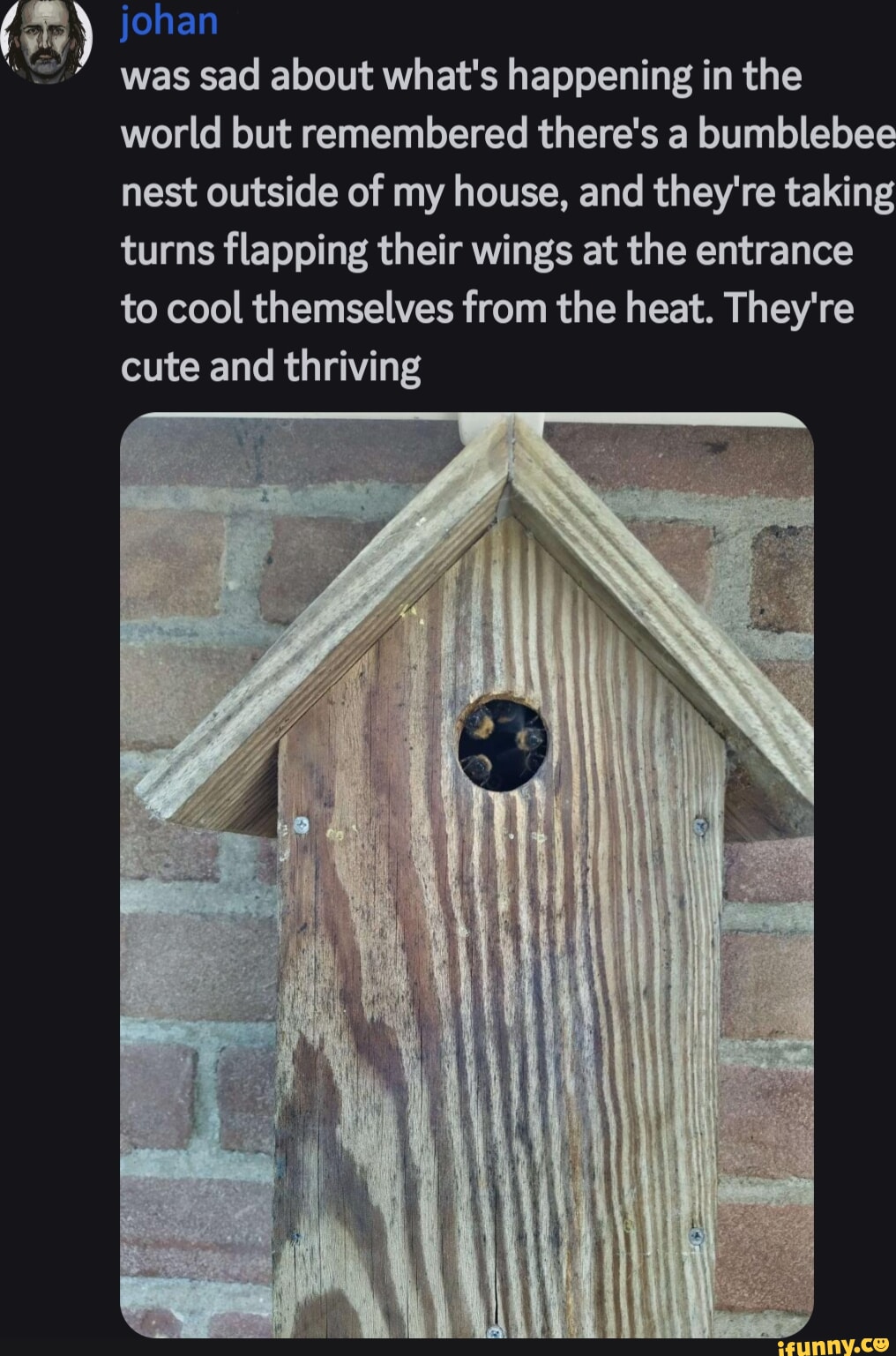 Bumblebee memes. Best Collection of funny Bumblebee pictures on iFunny