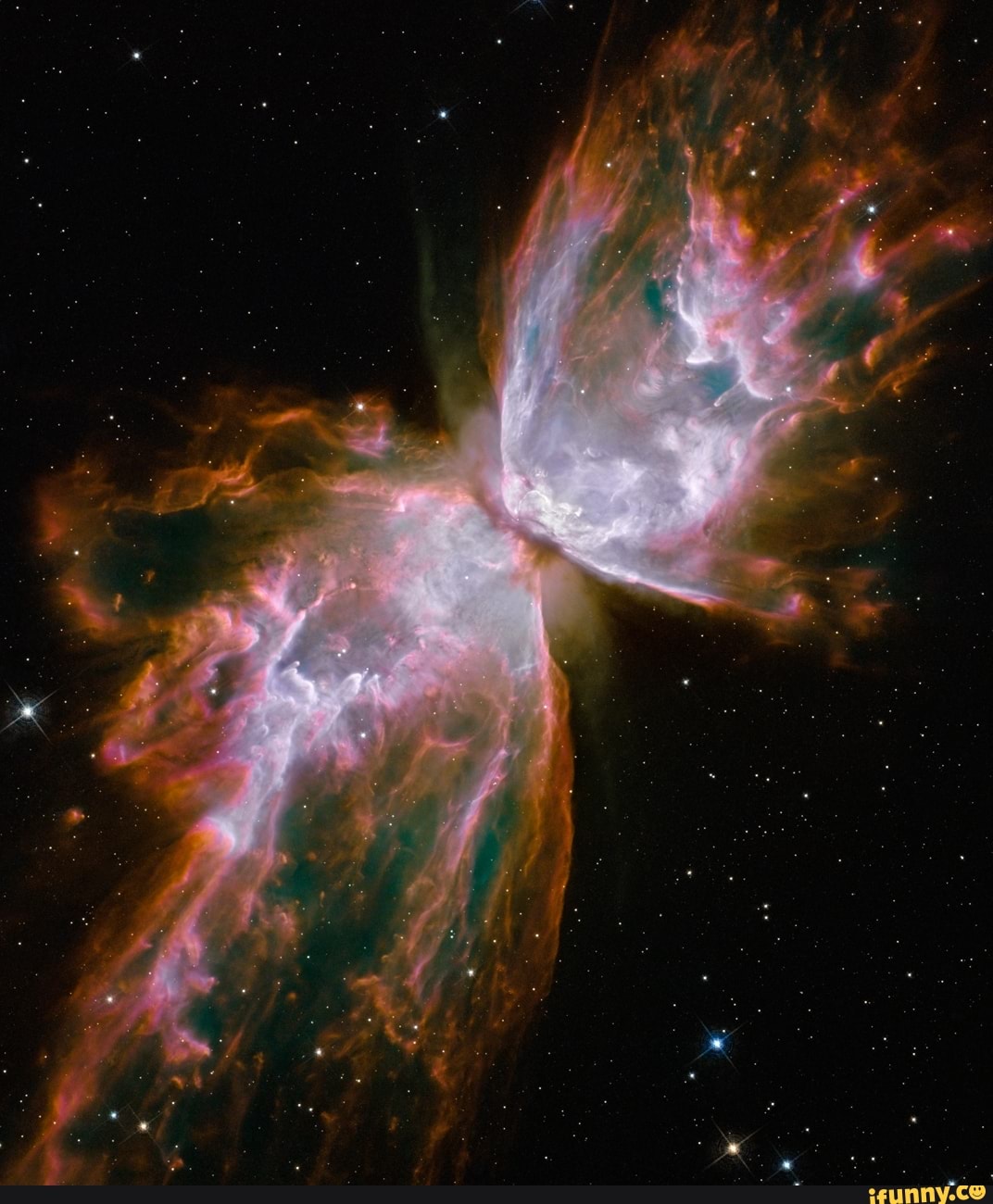 Butterflynebula memes. Best Collection of funny Butterflynebula ...