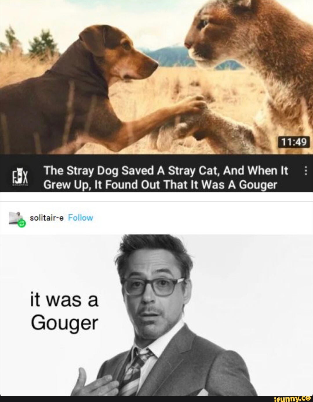 Gouger memes. Best Collection of funny Gouger pictures on iFunny