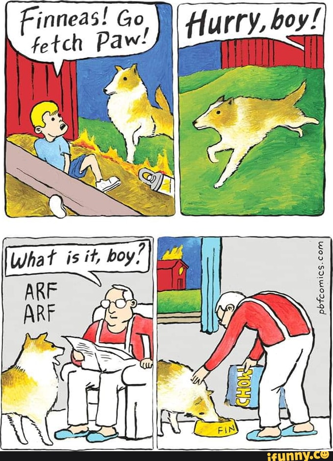 Finneas Go fetch Paw ARF - iFunny