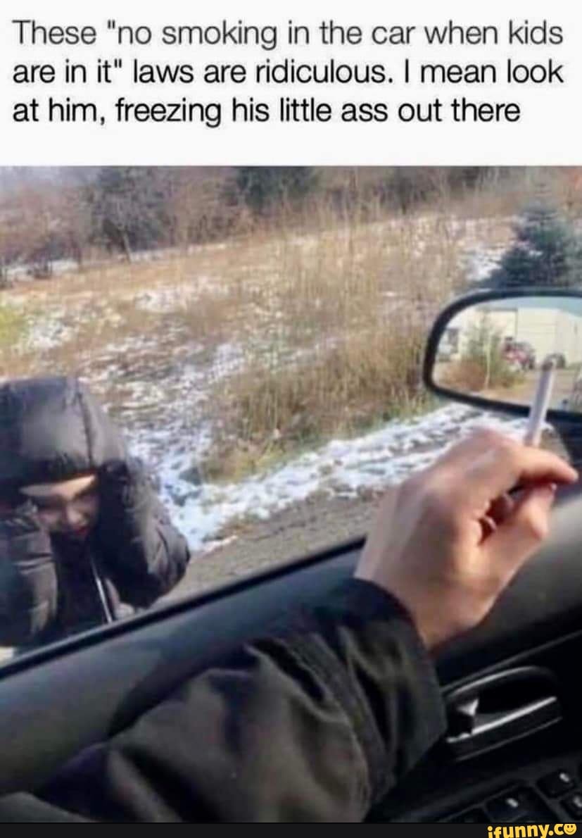 These "no smoking in the car when kids are in it" laws are ridiculous ...