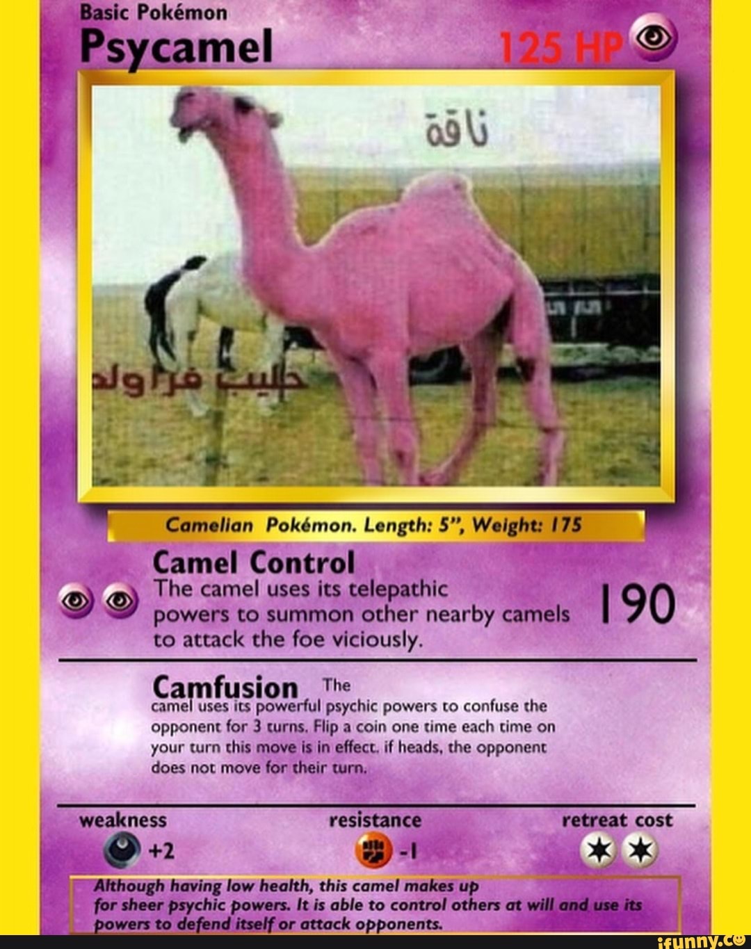 Camelcards memes. Best Collection of funny Camelcards pictures on iFunny