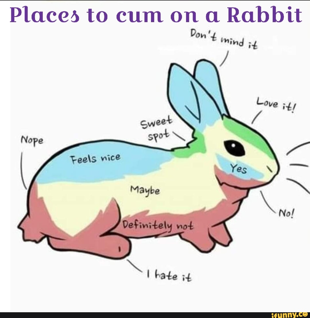 Places to cum ona Rabbit Don'4 mind Nope Feels wice Yes Maybe hate it ...