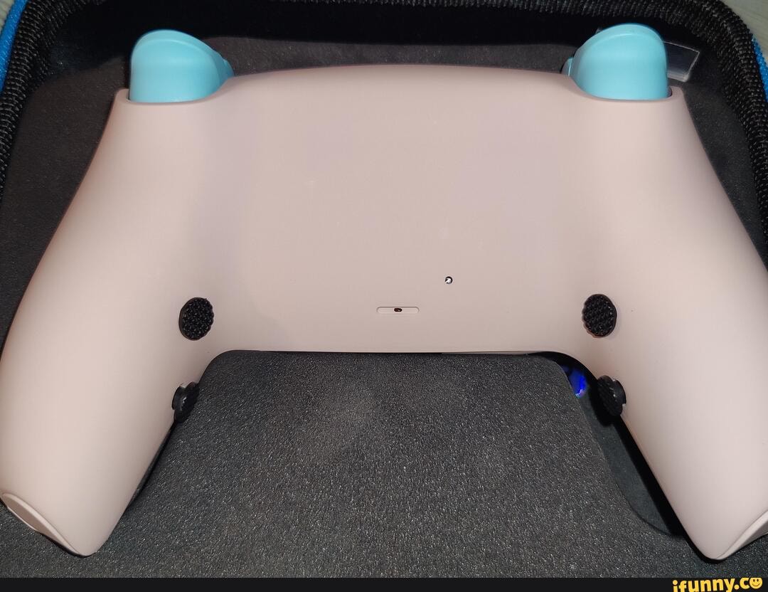 Custom PS5 controller by Battle Beaver - iFunny