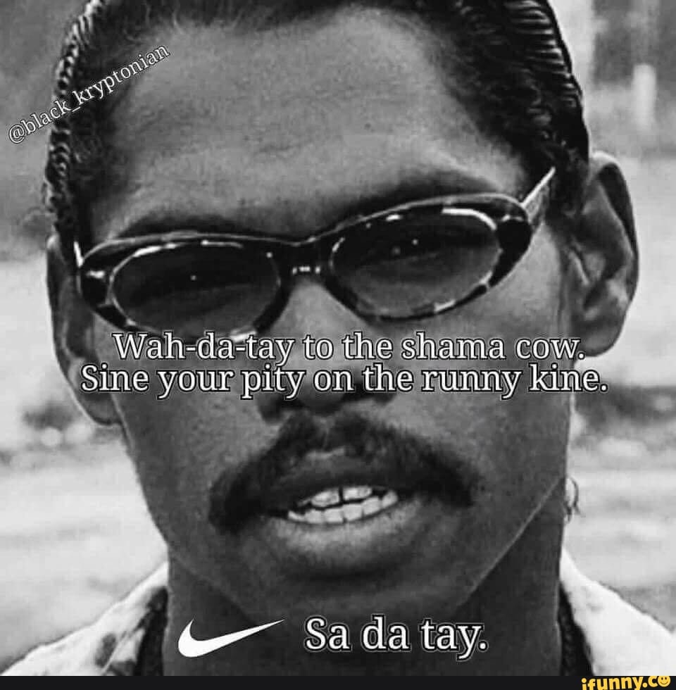 Shama memes. Best Collection of funny Shama pictures on iFunny
