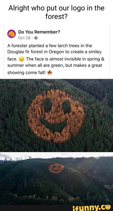 Alright who put our logo in the forest? Do You Remember? Oct A forester ...