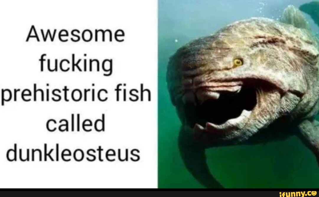 Dunkleosteus memes. Best Collection of funny Dunkleosteus pictures on ...