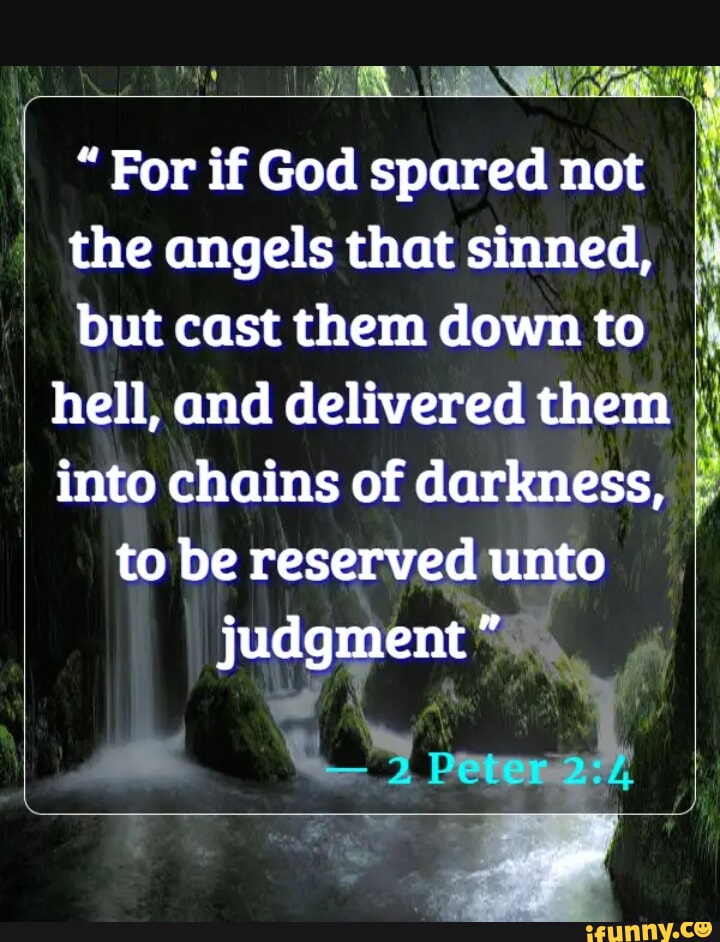 Spared memes. Best Collection of funny Spared pictures on iFunny