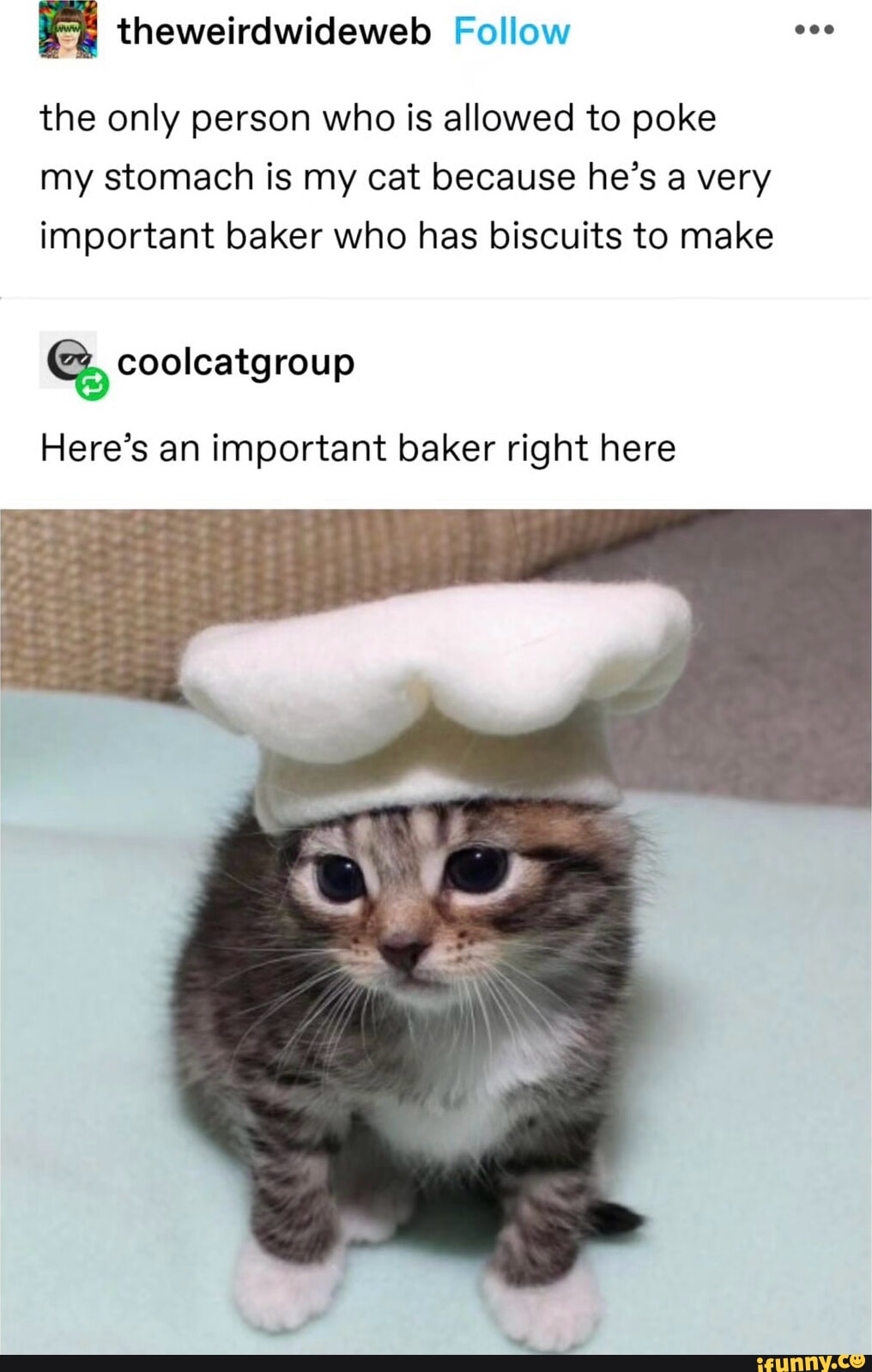 Video memes 3zWWtzLyA by SaggyLaddies: 2 comments - iFunny