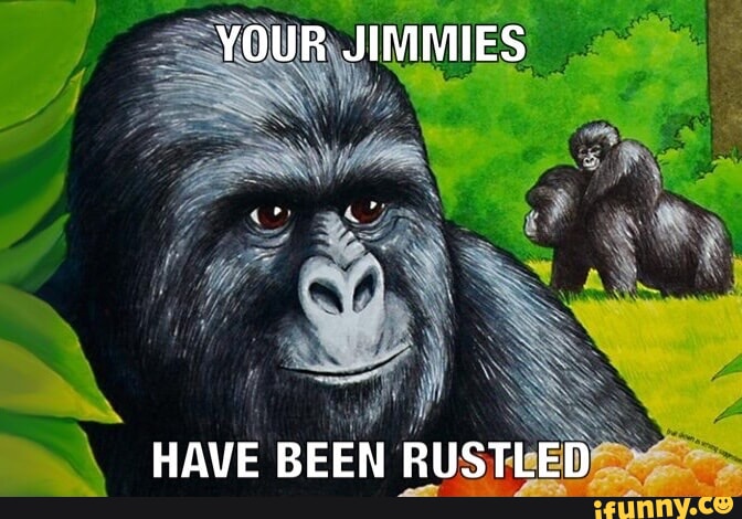 Zellig memes. Best Collection of funny Zellig pictures on iFunny