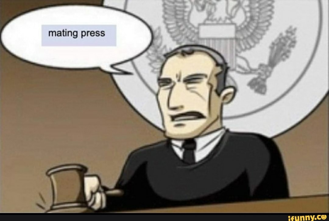 Meting press - iFunny