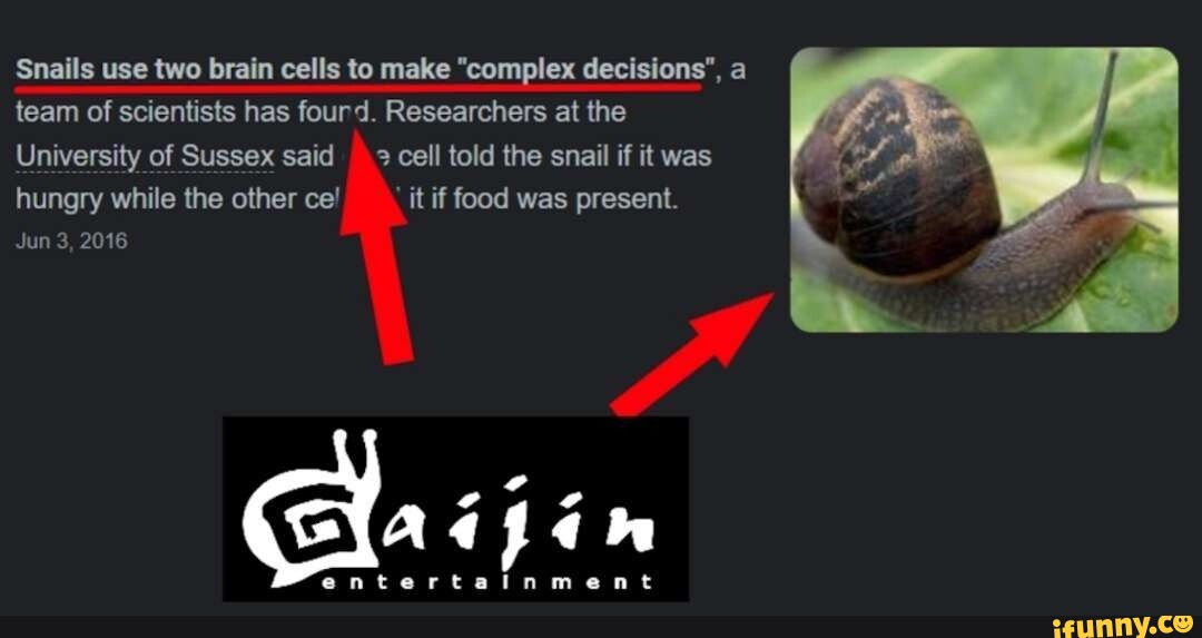 Snail memes. Best Collection of funny Snail pictures on iFunny