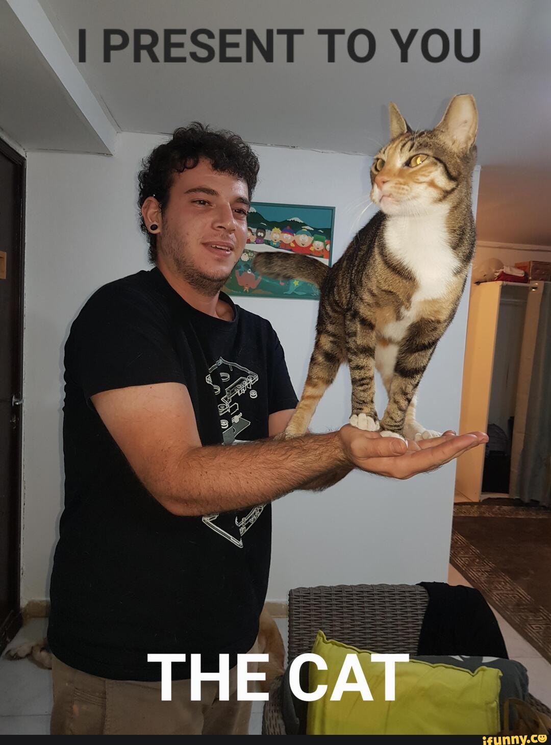 I PRESENT TO YOU THE CAT - iFunny