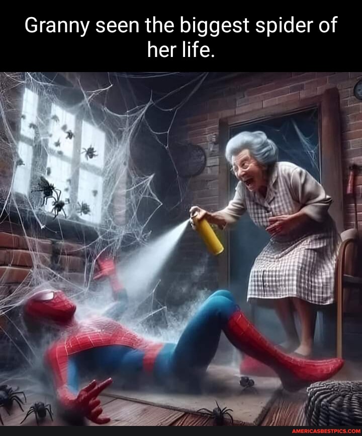 Granny seen the biggest spider of her life. - America’s best pics and ...