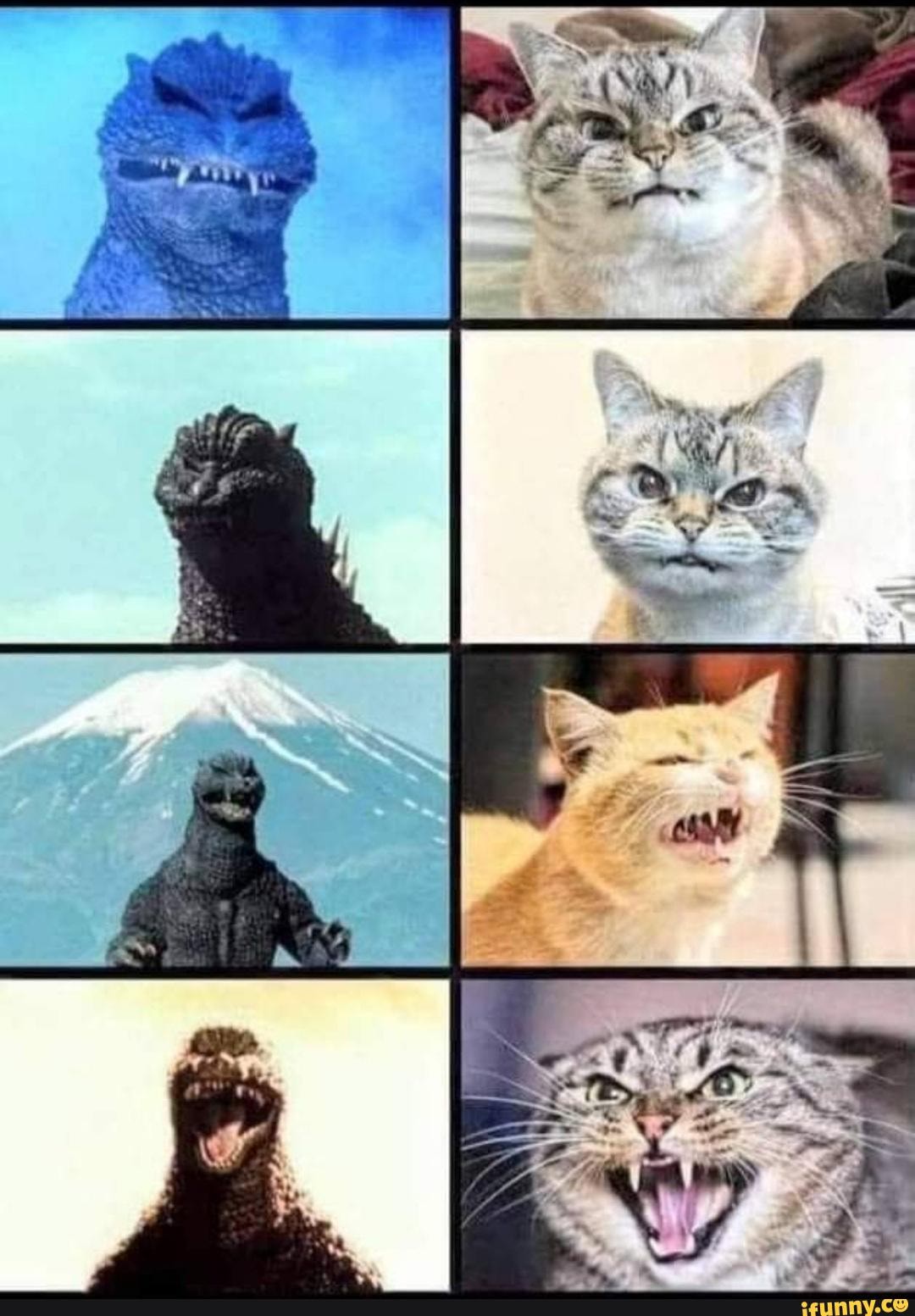Godzilla vs. Catzilla - seo.title