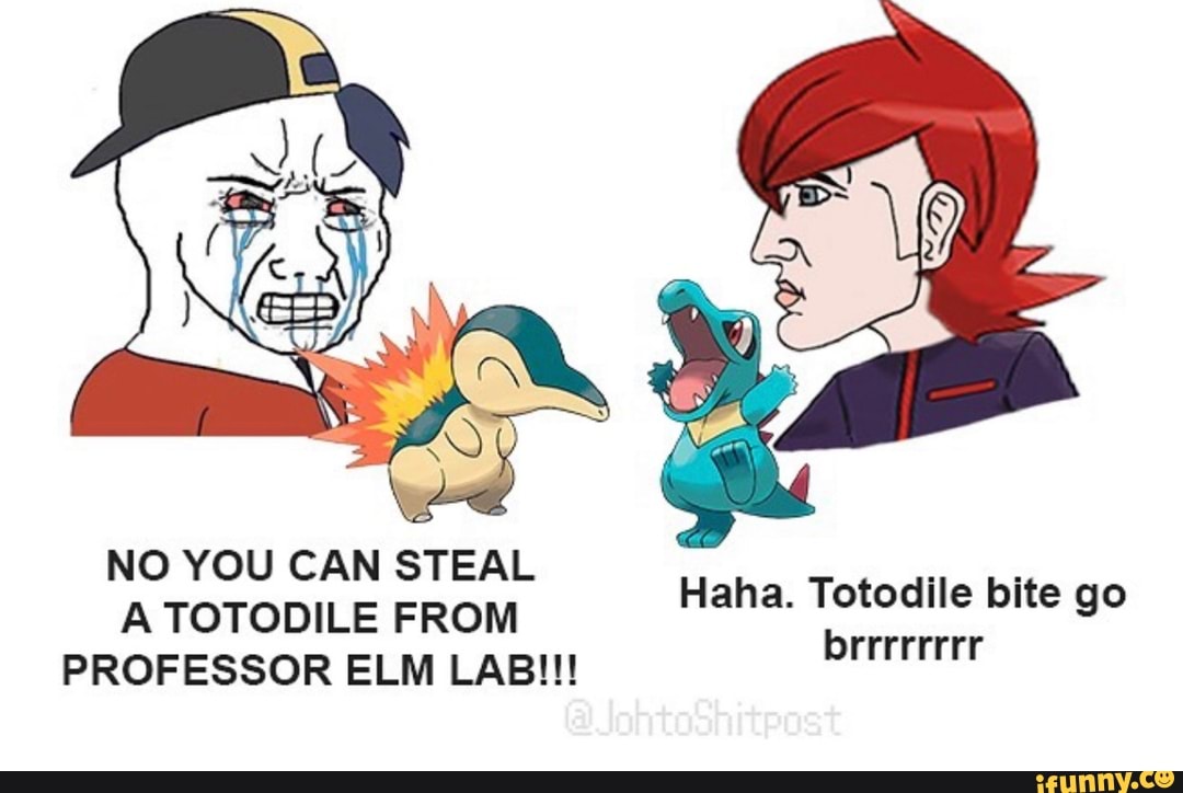 NO YOU CAN STEAL A TOTODILE FROM PROFESSOR ELM LAB!!! Haha. Totodile ...