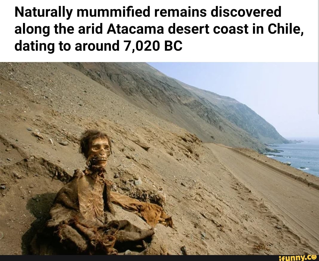Naturally mummified remains discovered along the arid Atacama desert ...
