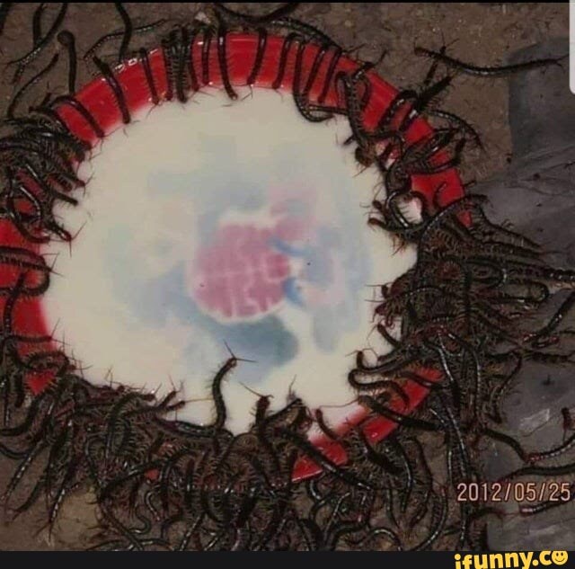 Cursed_dish memes. Best Collection of funny Cursed_dish pictures on iFunny