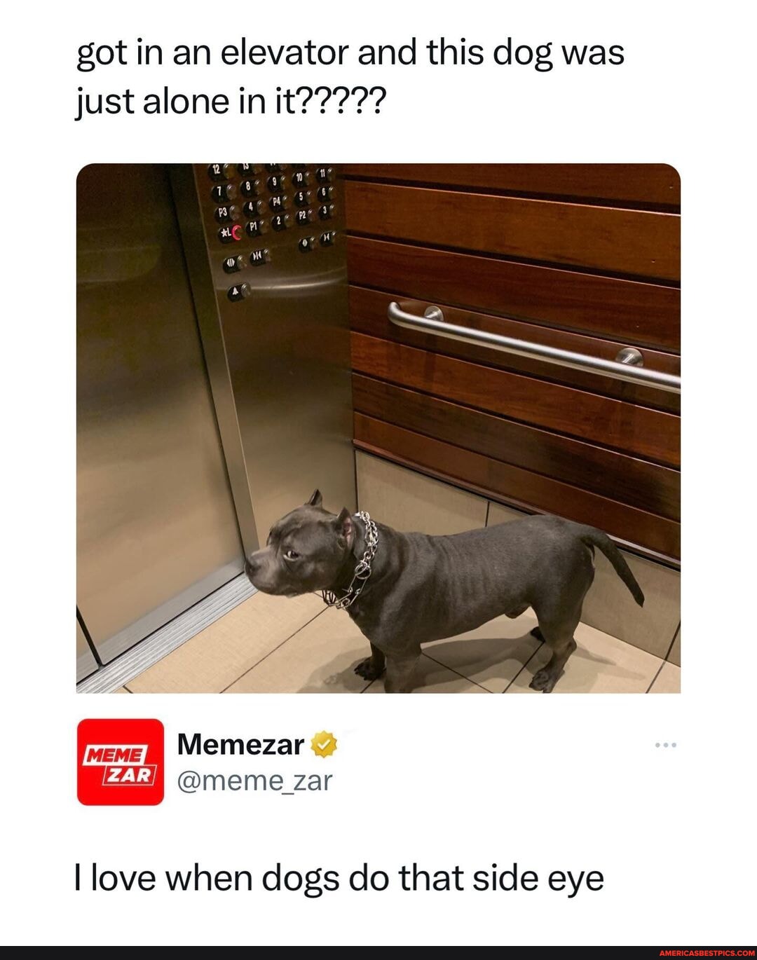 Bombastic side eye 😂 Like this content? Follow us for more @memezar ️ ...