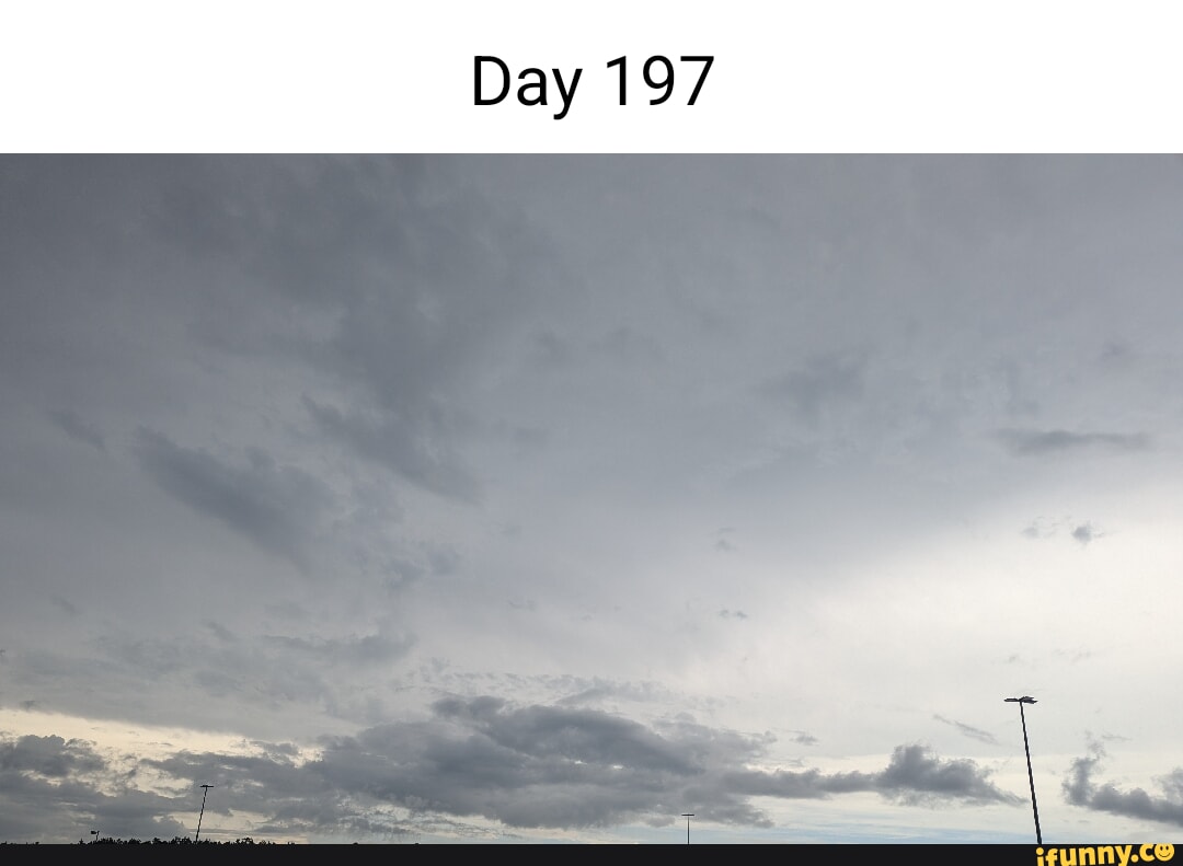 Stormy memes. Best Collection of funny Stormy pictures on iFunny