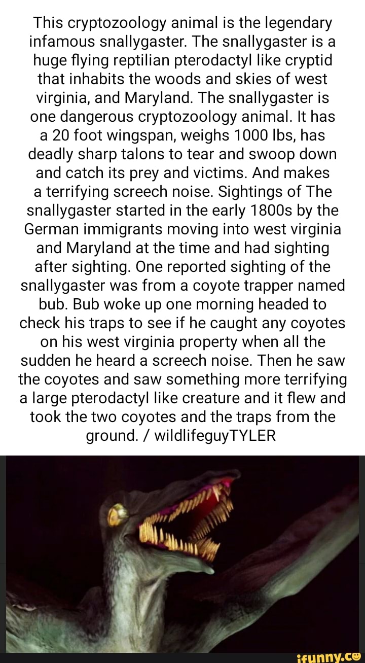 This cryptozoology animal is the legendary infamous snallygaster. The ...