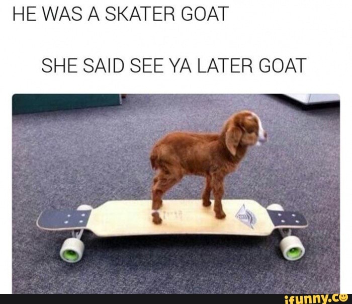 Funny random meme dump of my favorites (50) - HE WAS A SKATER GOAT SHE ...