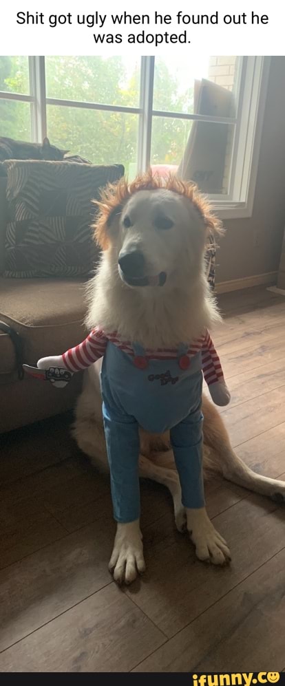 Stepchild memes. Best Collection of funny Stepchild pictures on iFunny ...