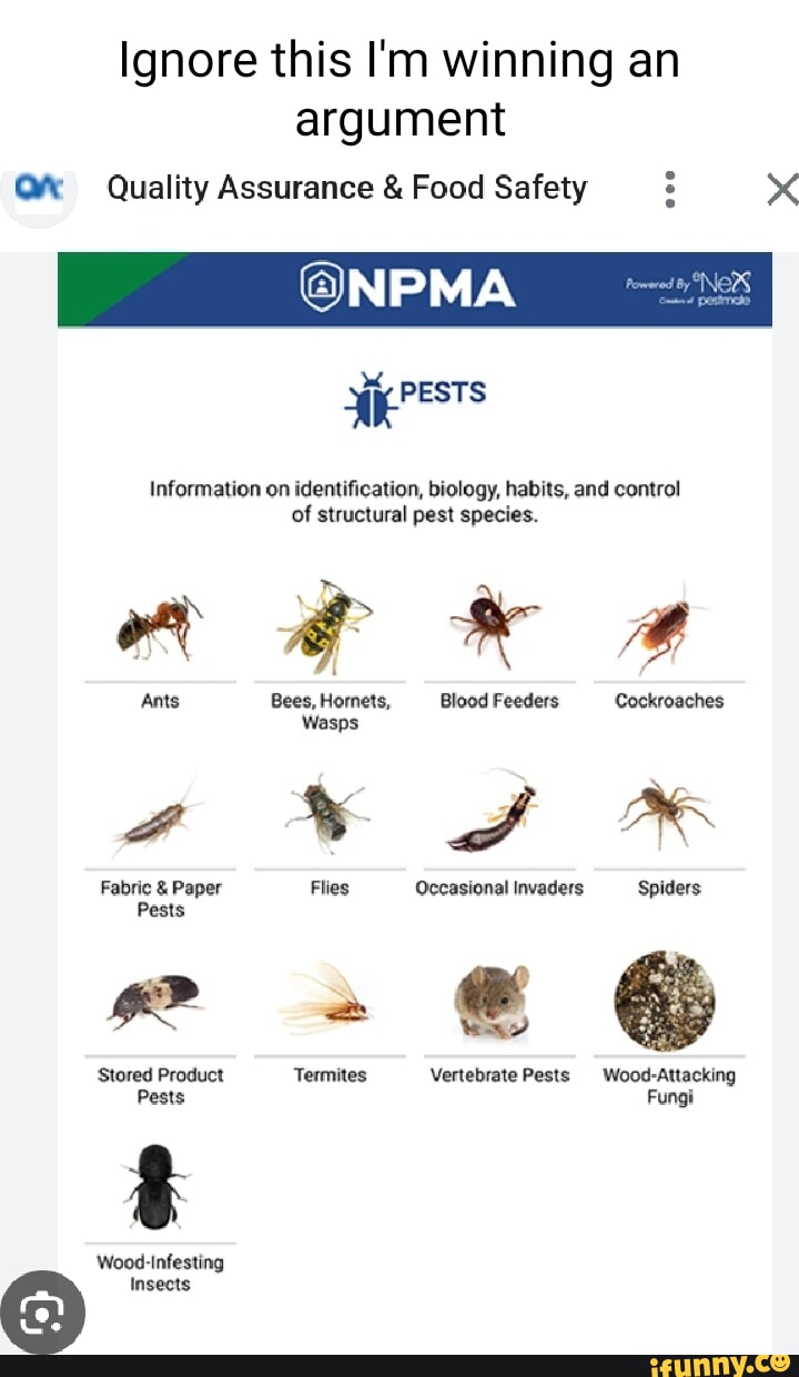 Identification memes. Best Collection of funny Identification pictures ...