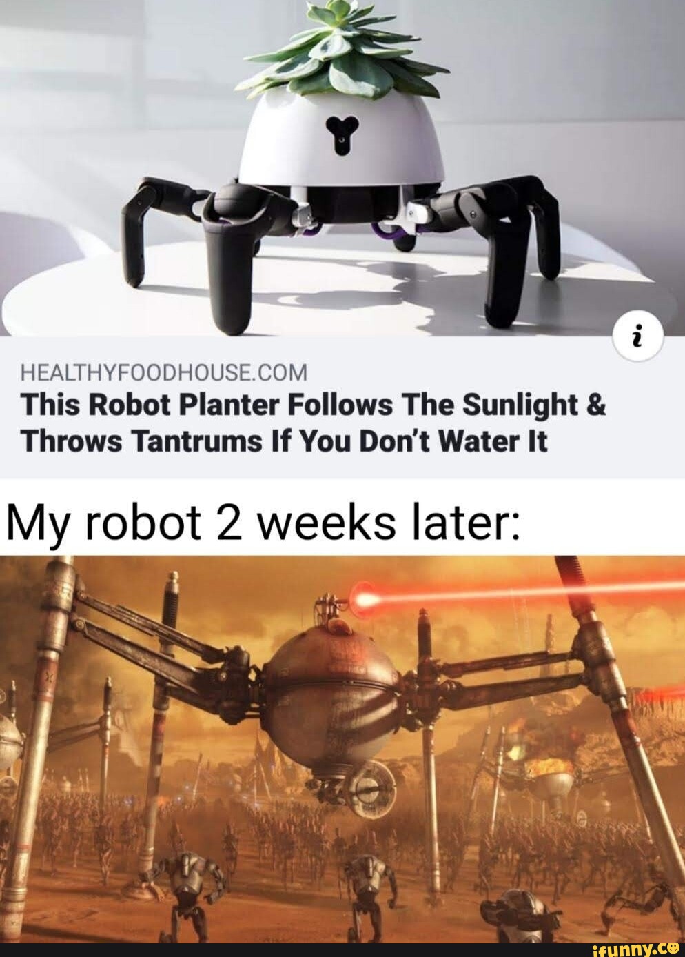 Planter memes. Best Collection of funny Planter pictures on iFunny