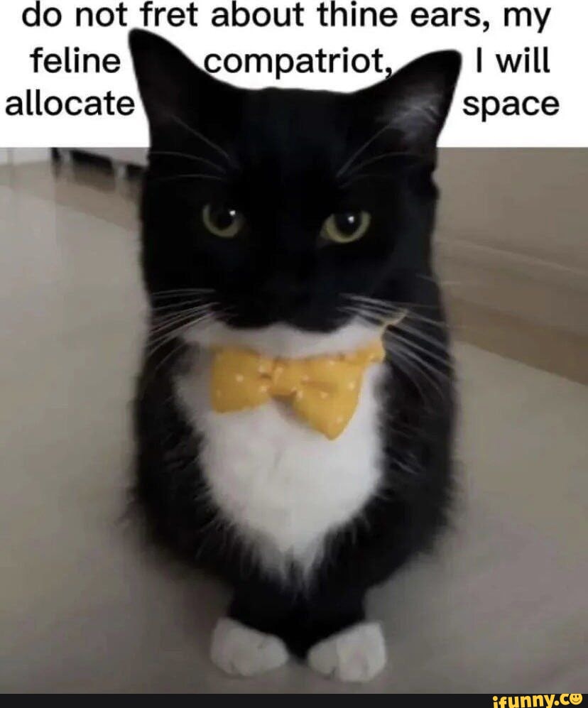 Do not fret about thine ears, my compatriot wilt allocate - iFunny