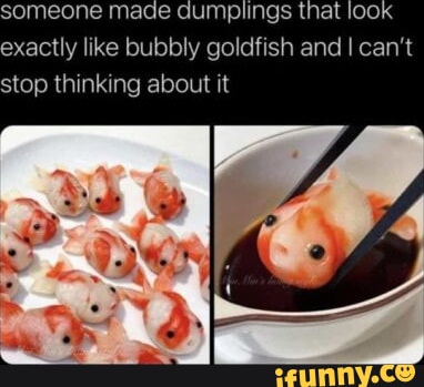 Dumplings memes. Best Collection of funny Dumplings pictures on iFunny