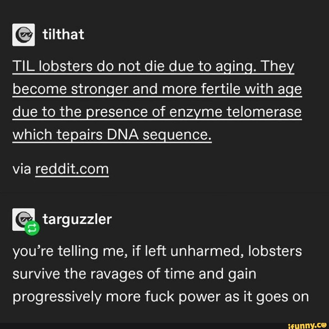 Telomerase memes. Best Collection of funny Telomerase pictures on iFunny