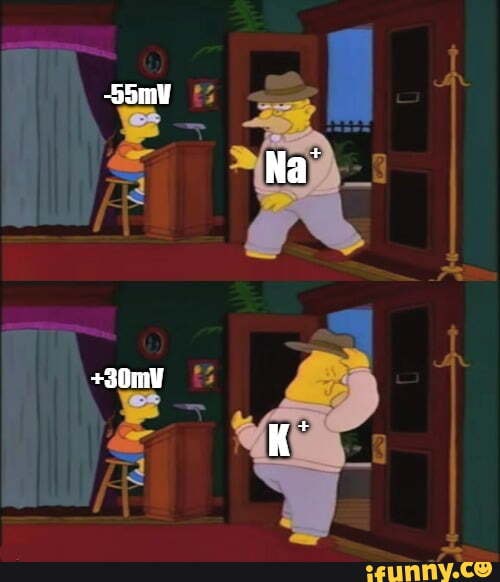 Action_potential memes. Best Collection of funny Action_potential ...