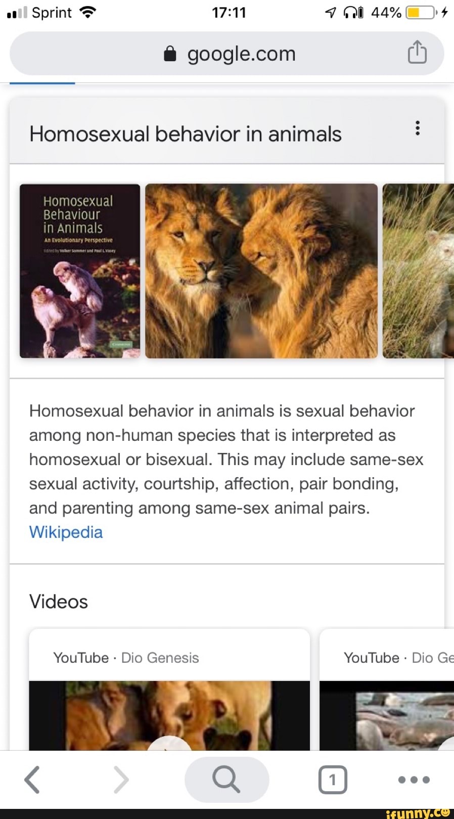Homosexual behavior in animals - Homosexual behavior in animals is ...
