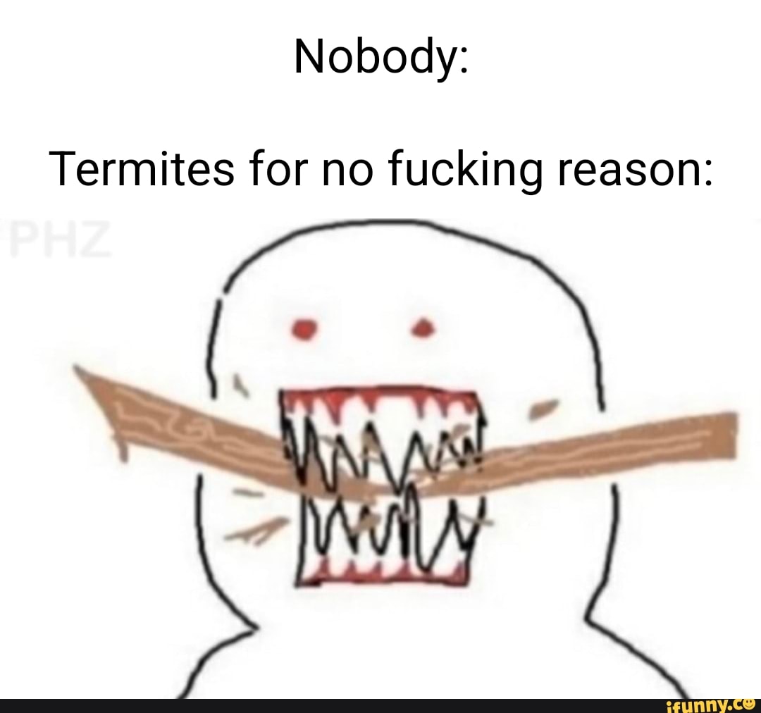 Termites memes. Best Collection of funny Termites pictures on iFunny