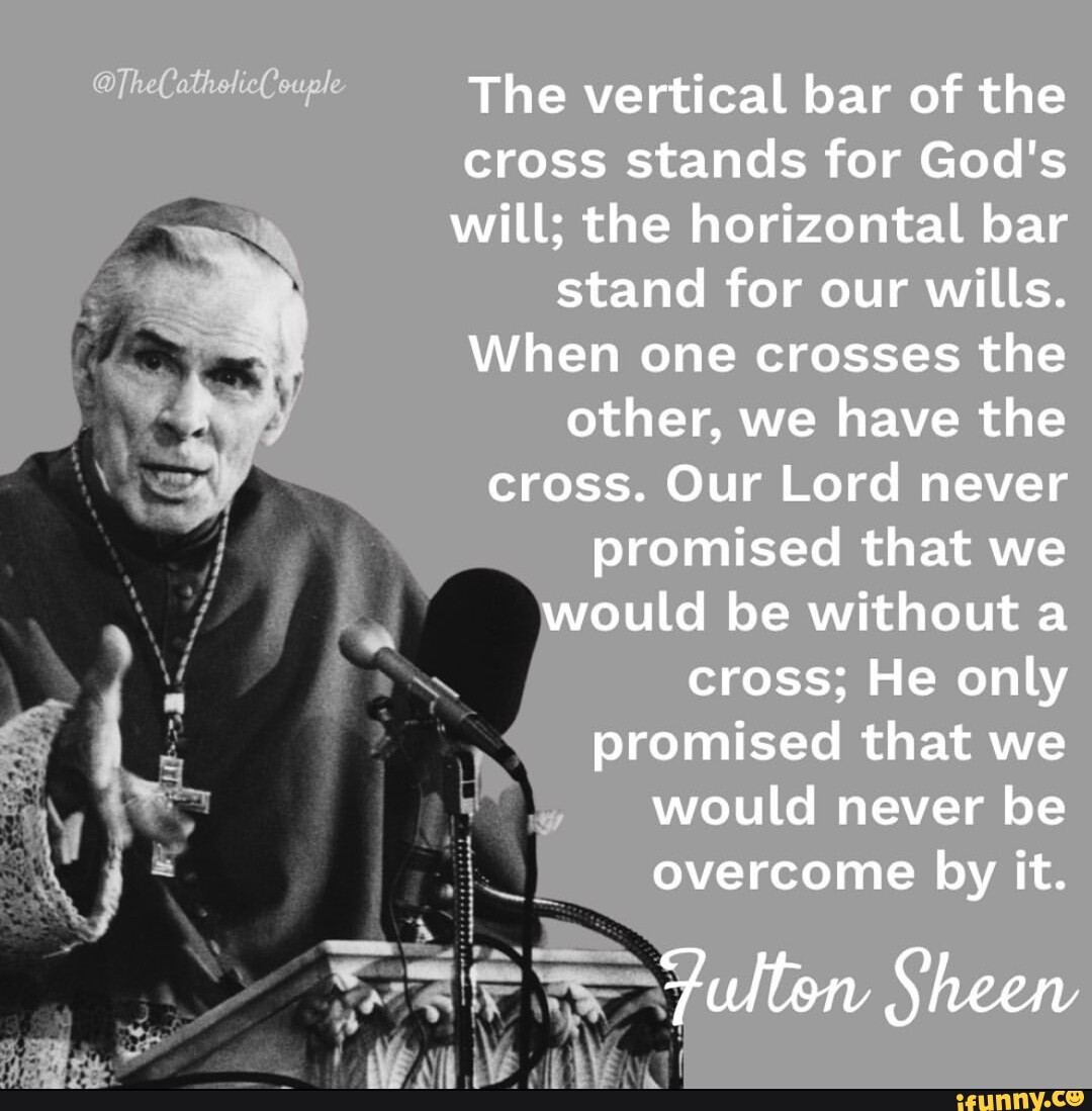 Horizontal memes. Best Collection of funny Horizontal pictures on iFunny