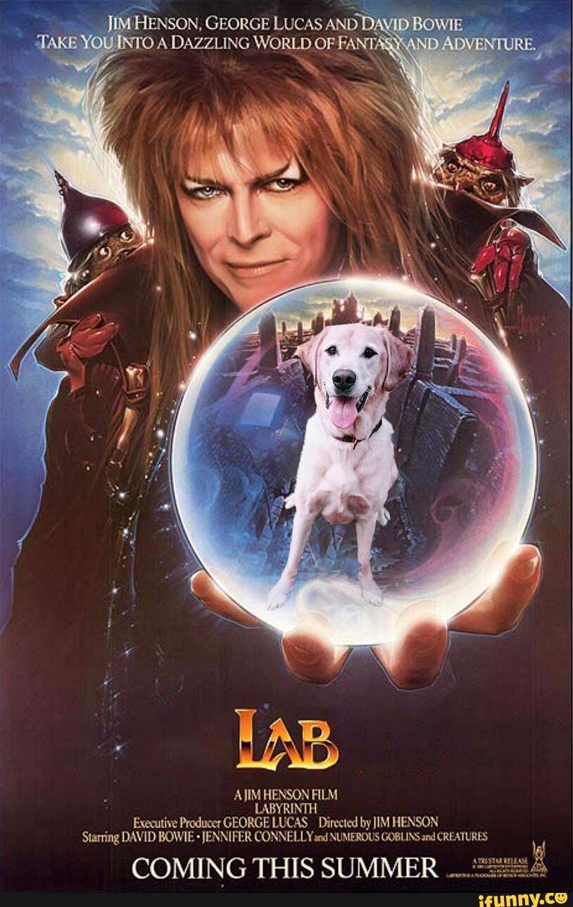 HENSON, GEORGE LUCAS AND BO AJIM HENSON FILM LABYRINTH Executive ...