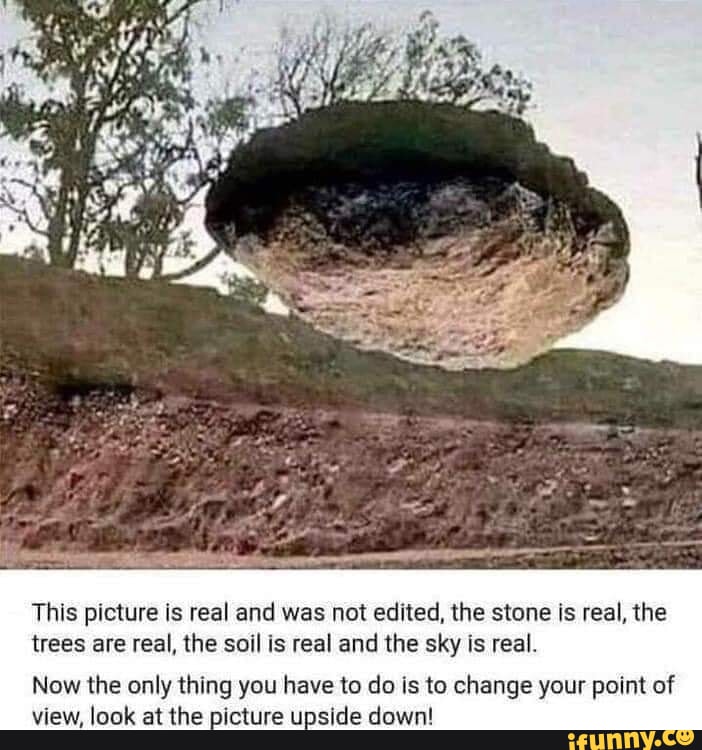 Soil memes. Best Collection of funny Soil pictures on iFunny