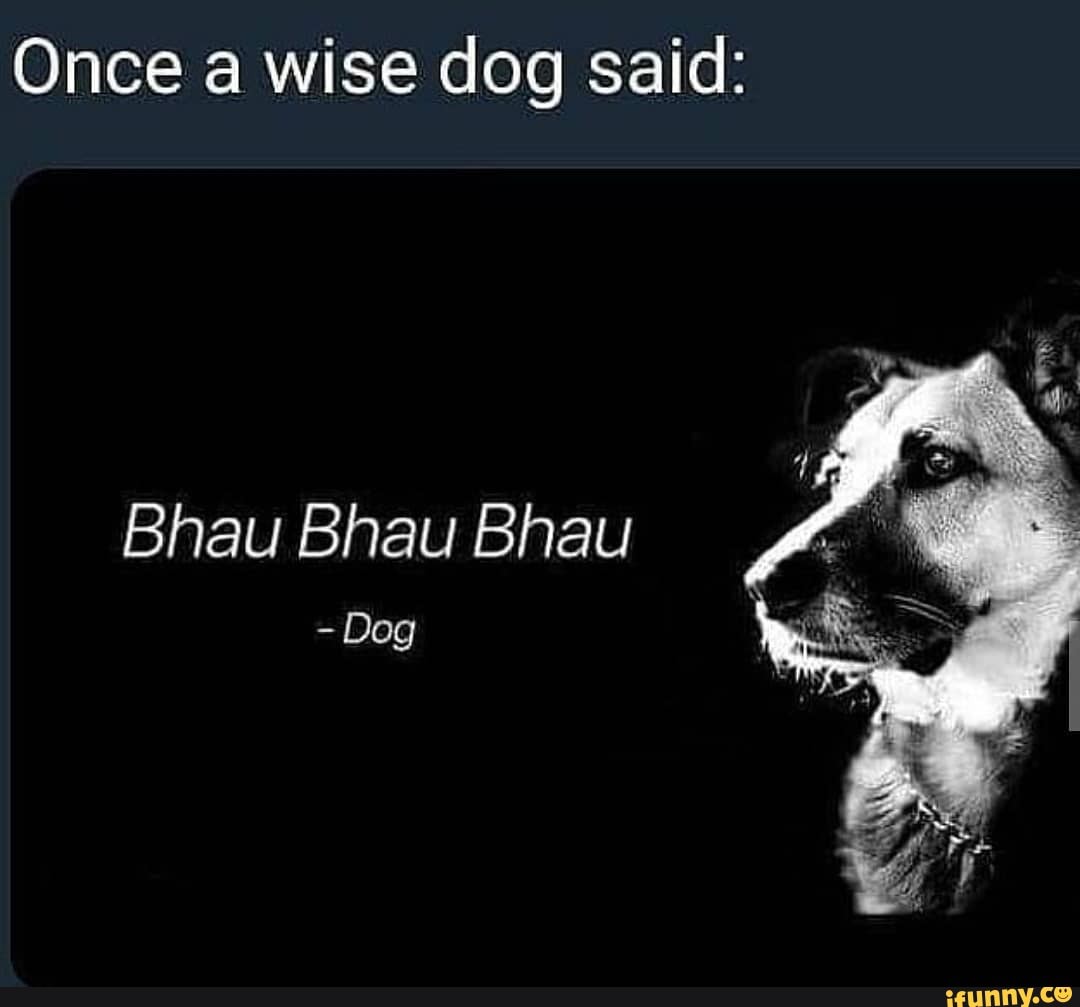 Bhau memes. Best Collection of funny Bhau pictures on iFunny