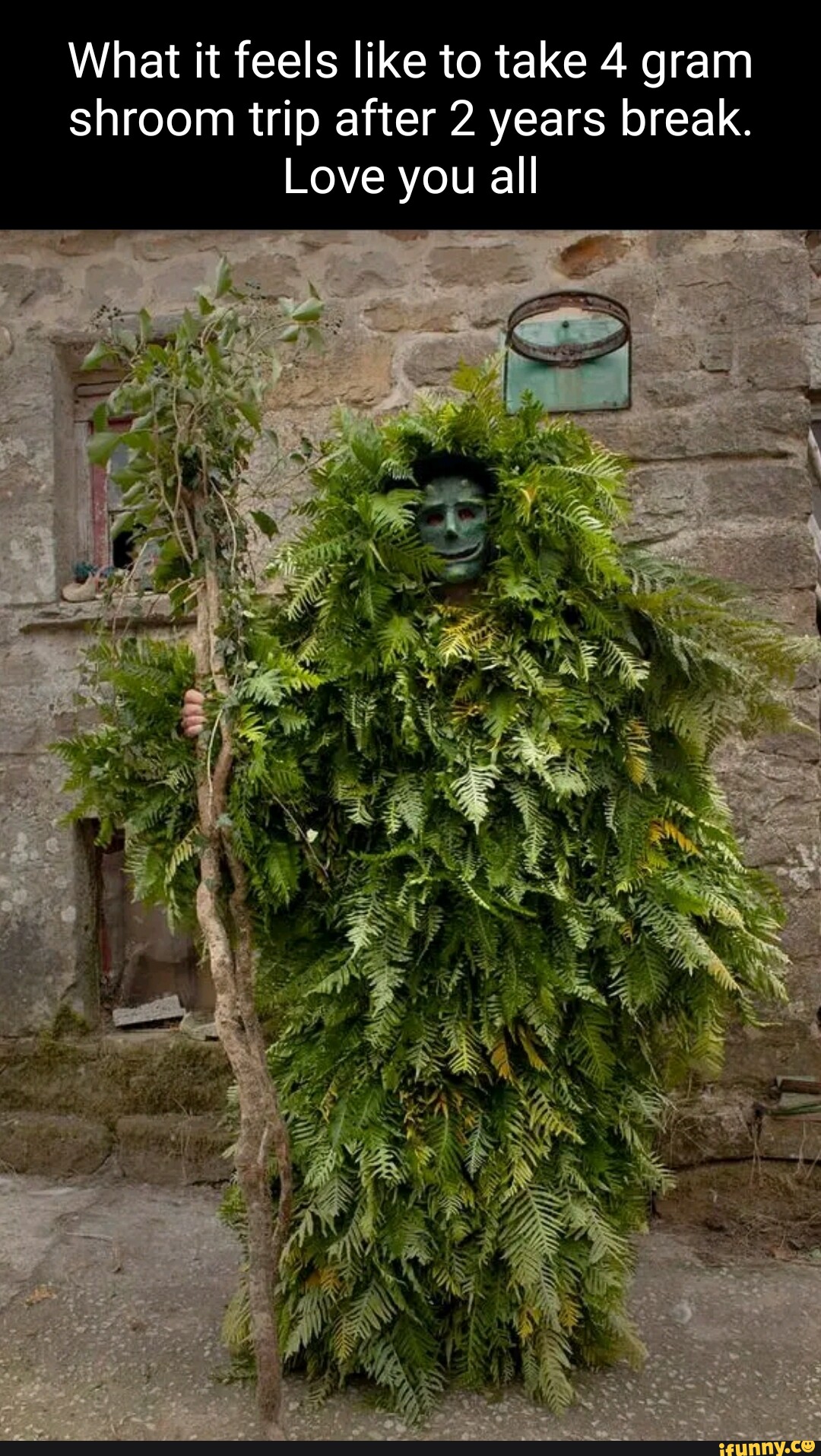 Shroom memes. Best Collection of funny Shroom pictures on iFunny