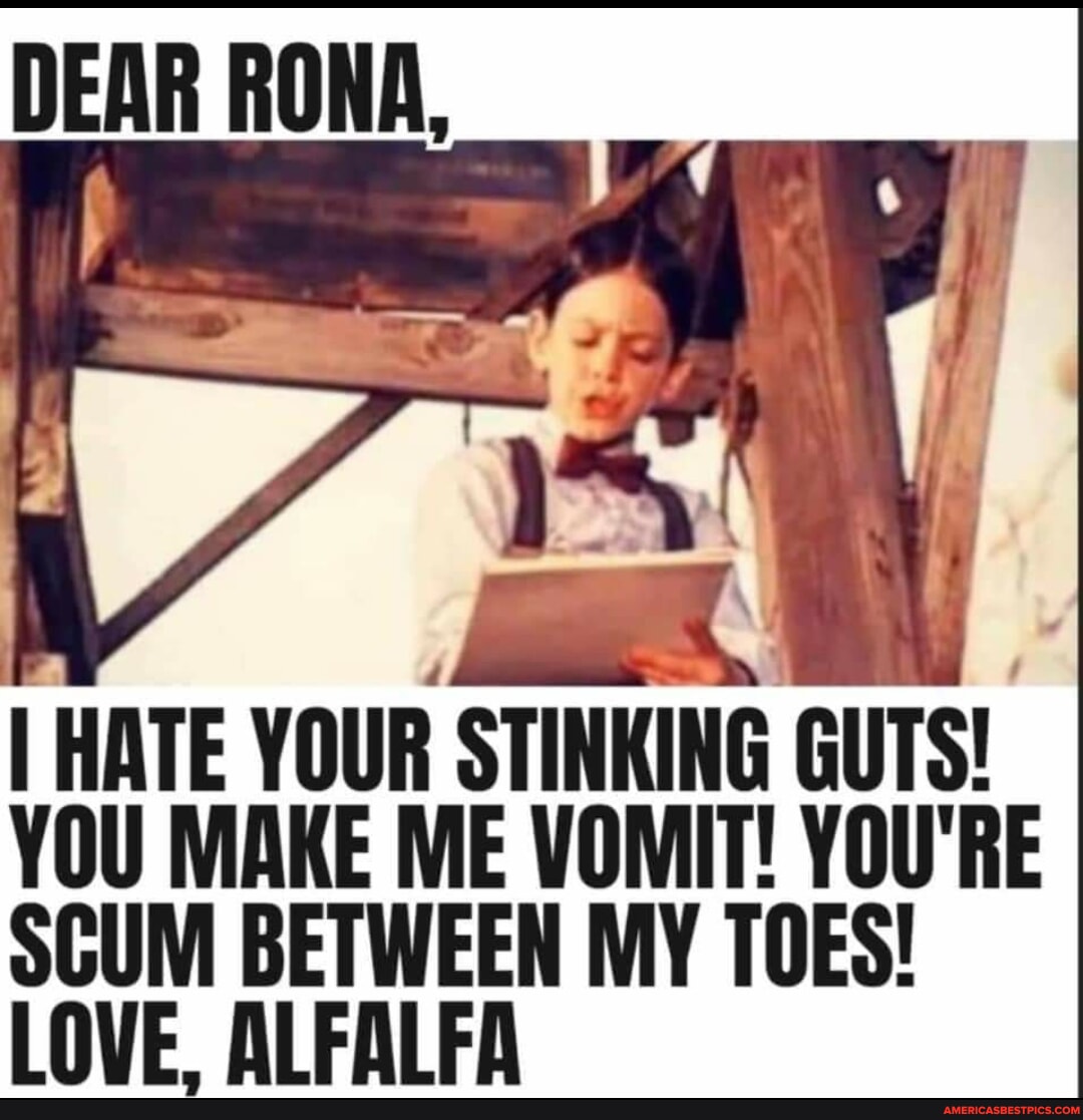 I HATE YOUR STINKING GUTS! YOU MAKE ME VOMIT! YOU'RE SCUM BETWEEN MY ...